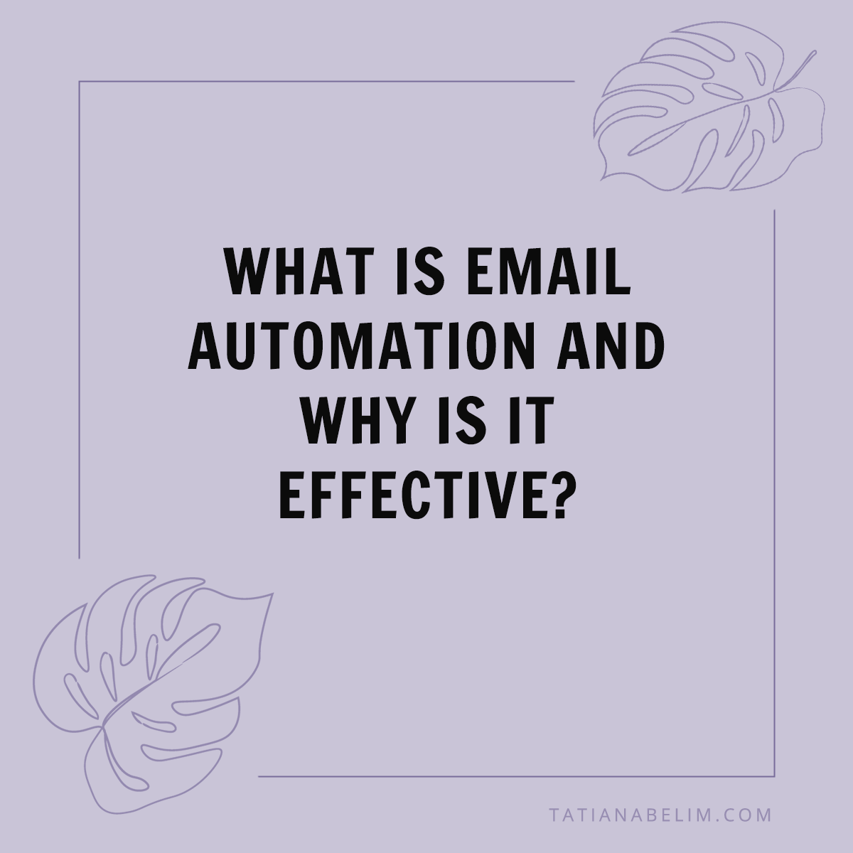 What Is Email Automation and Why Is It Effective? tatianabelim.com