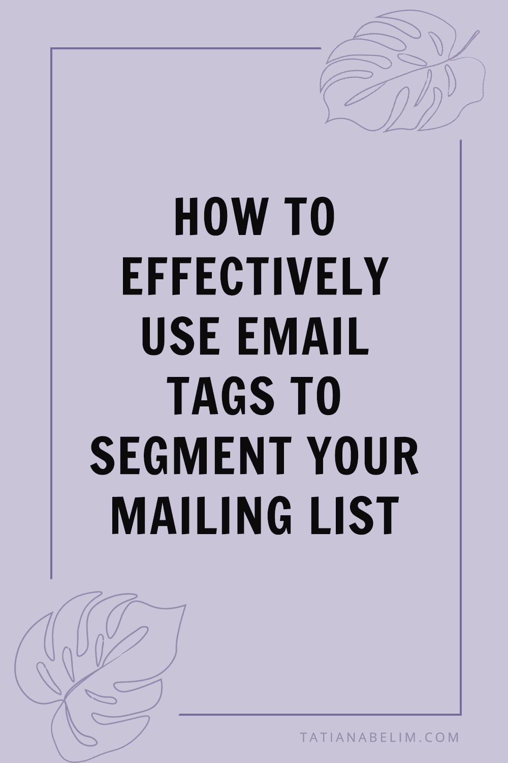 How to Effectively Use Email Tags to Segment Your Mailing List