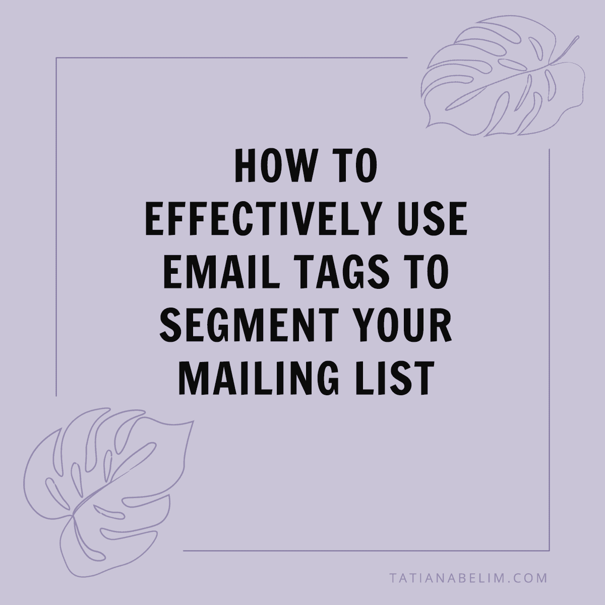 How to Effectively Use Email Tags to Segment Your Mailing List