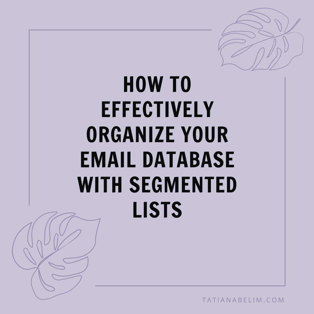 How to Effectively Organize Your Email Database With Segmented Lists
